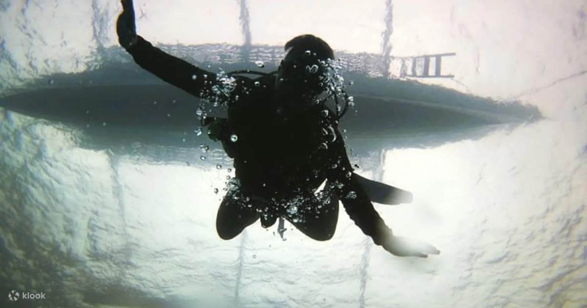 Пройдите курс PADI Advanced Open Water Diver на Палаване в дайв-курорте PADI 5 Star. - Klook Россия